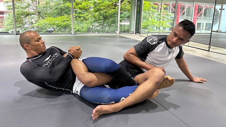 Understanding of the diagonal ASHI in the Brazilian Jiu-Jitsu ...